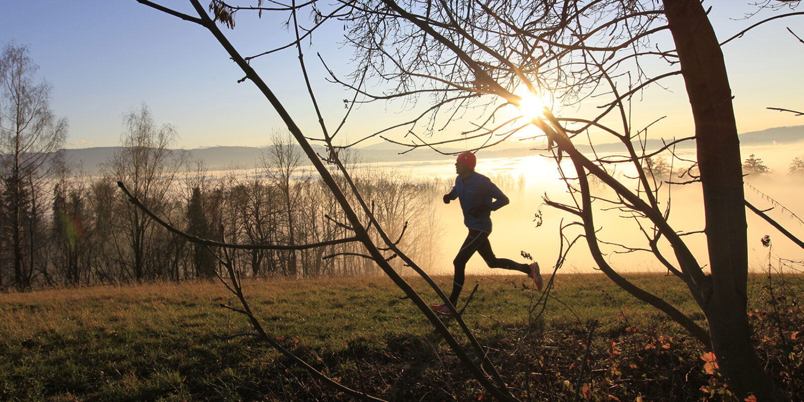 Long Jog: Drei Varianten – FIT for LIFE